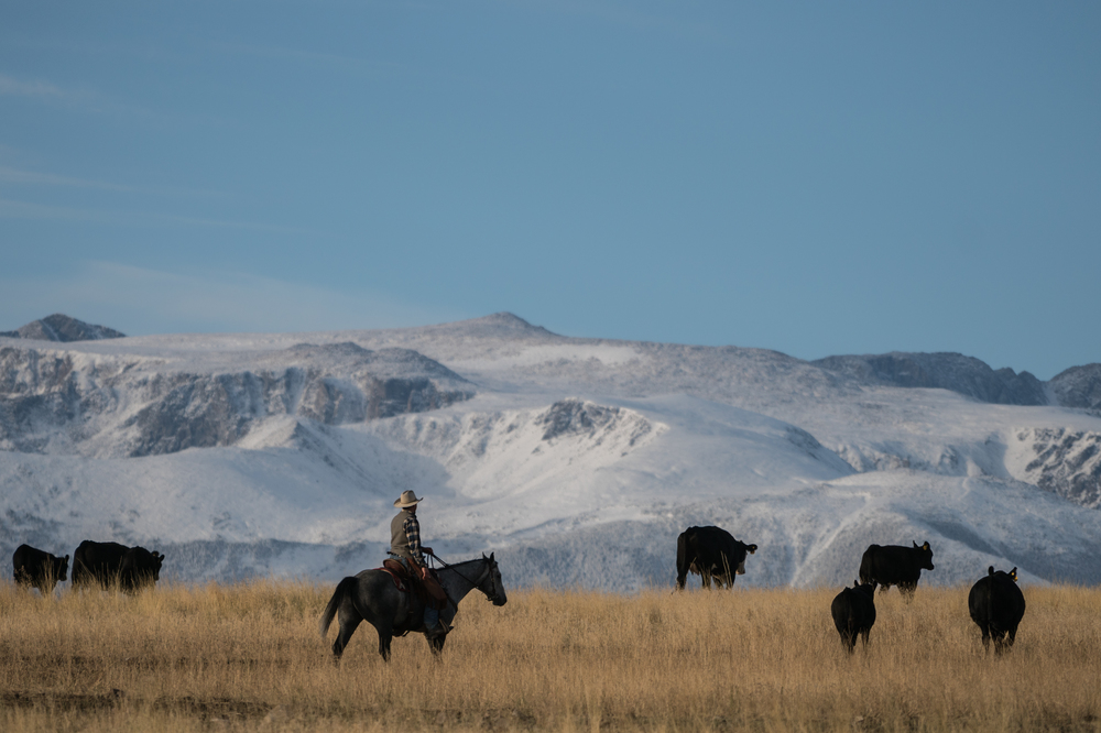 Tippet Rise Art Center | Tippet Rise Art Center