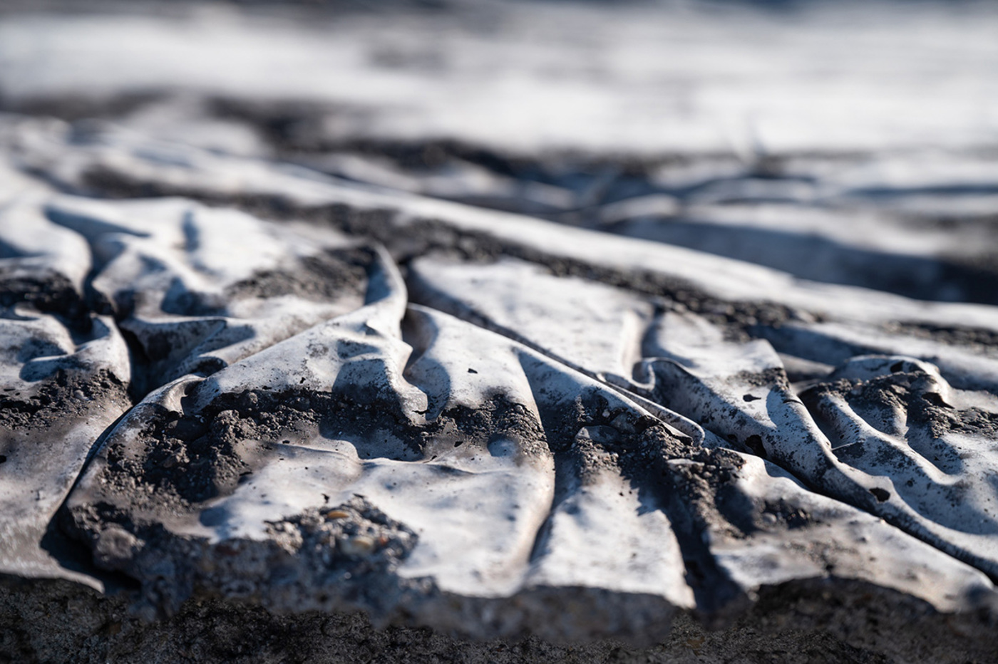 Tippet Rise Art Center | Tippet Rise Art Center