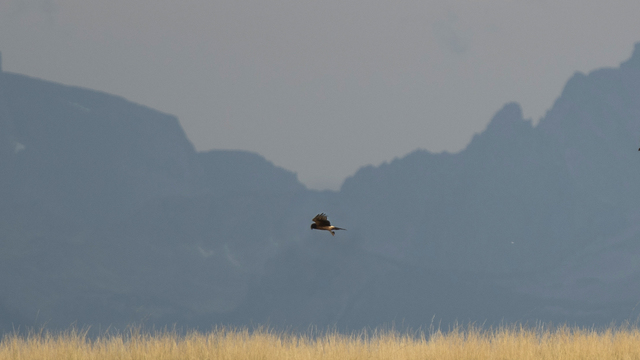 Back to Tippet Rise: Summer 2022 | Tippet Rise Art Center